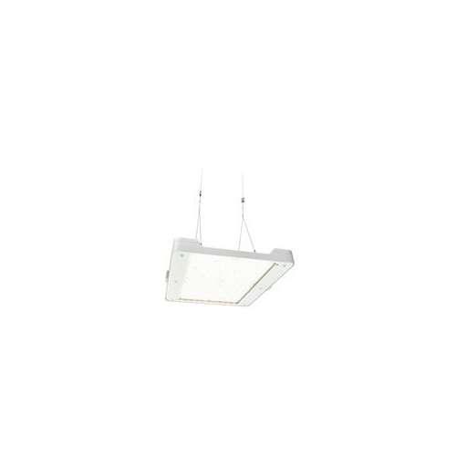 GentleSpace gen3 Grand modèle BY481P LED250S/840 PSD WB GC SI|Philips